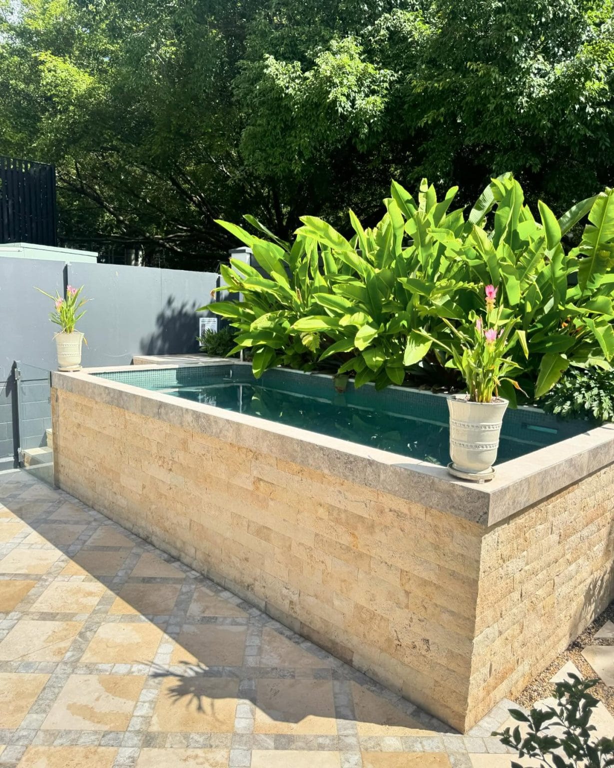 Small Above Ground Plunge Pool | Plunge Pools Brisbane